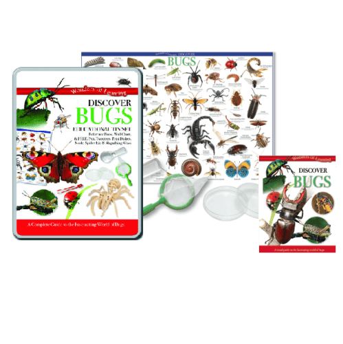 Discover Bugs Educational Tin Set | Presents of Mind